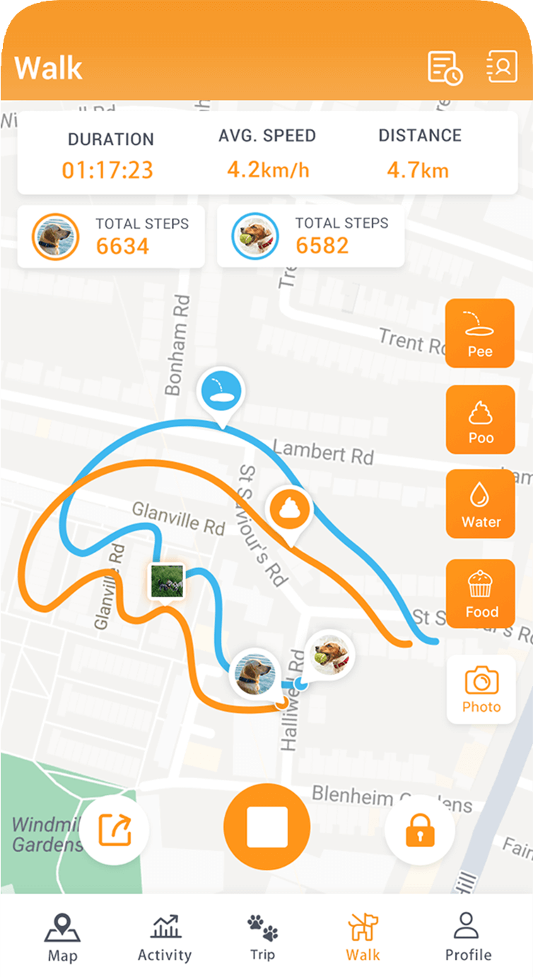 Pawfit - The Smartest GPS & Activity Pet Tracker